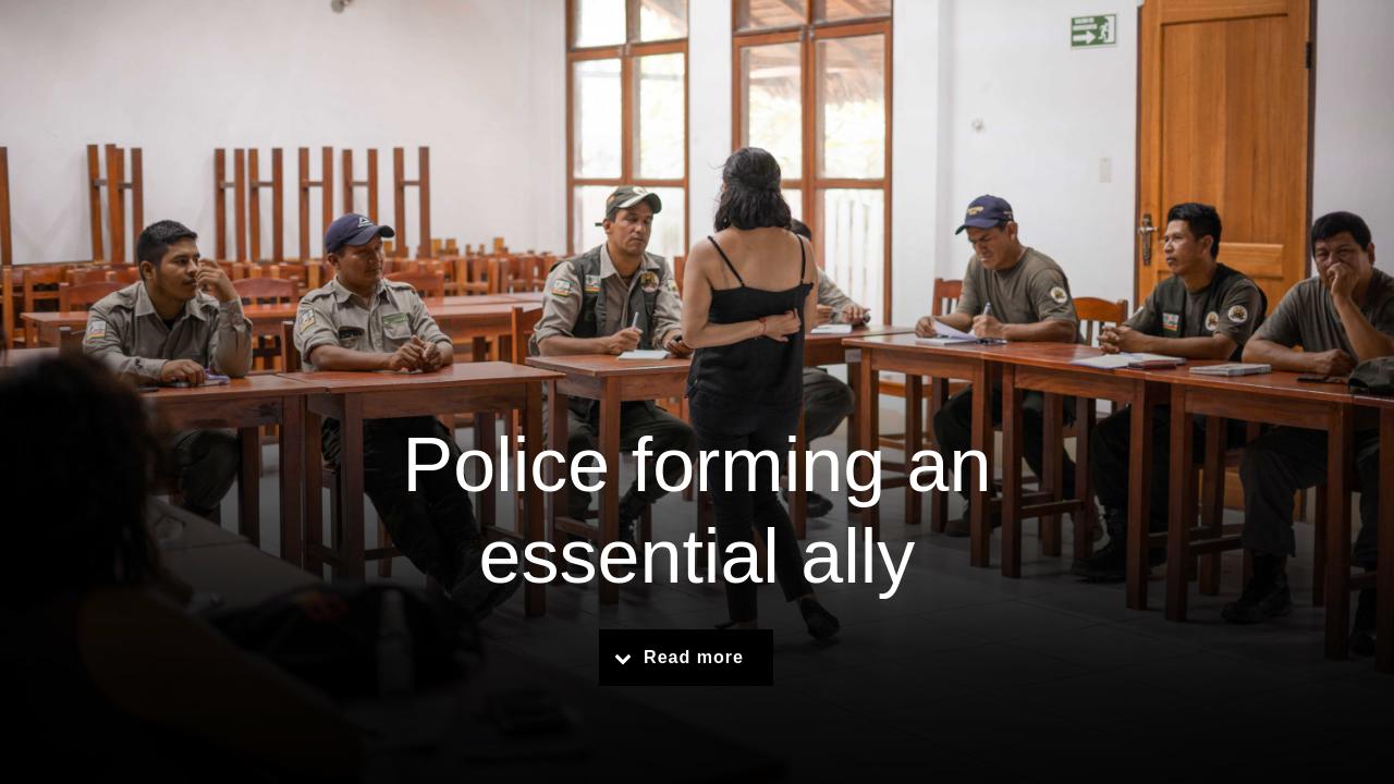 Police forming an essential ally - Down to Zero EN