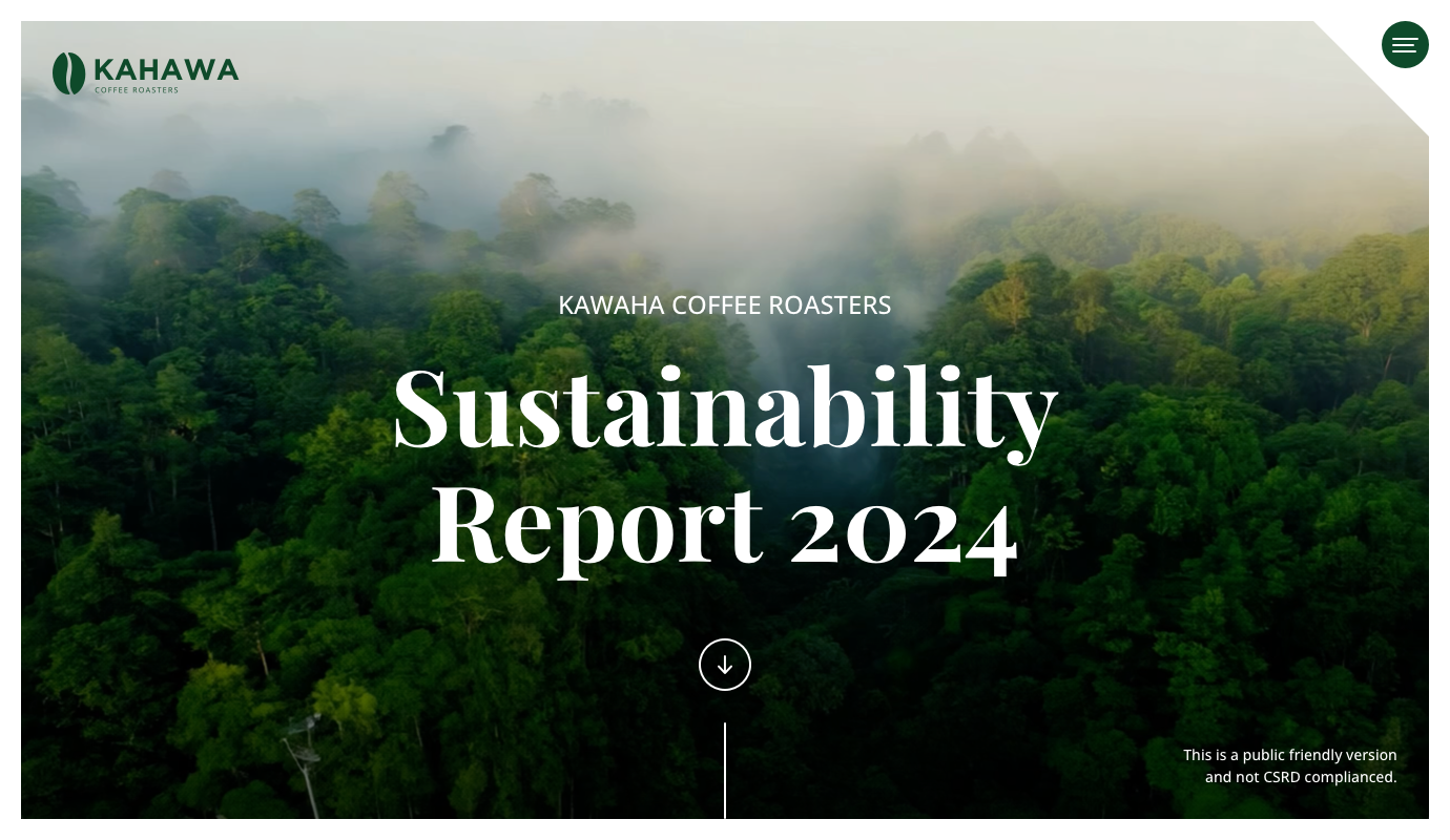 Overview - CSRD report example