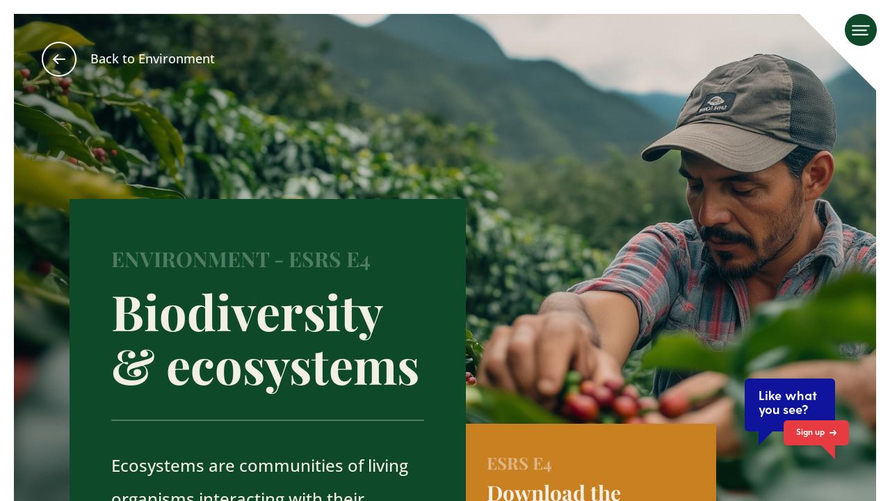 Biodiversity & ecosystems - CSRD report example