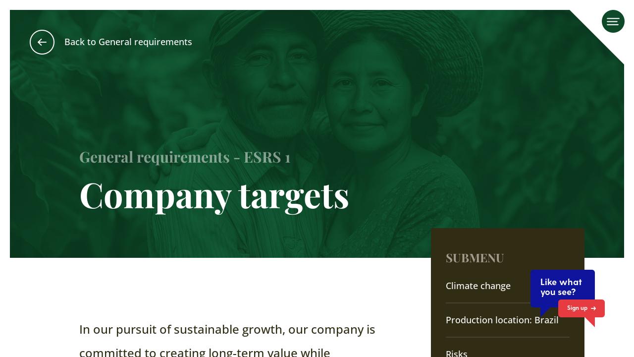Company targets - CSRD report example