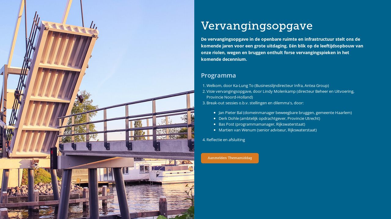 Programma - Themamiddag Vervangingsopgave