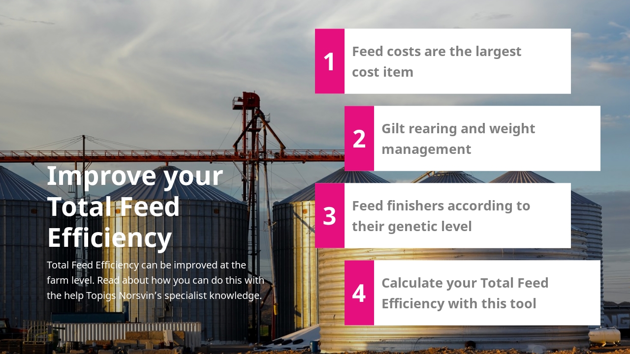 Improve your Total Feed Efficiency - Online Magazine Progress | Autumn 2019
