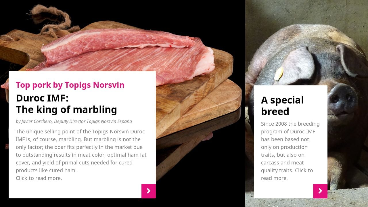 The king of marbling: Duroc IMF - Online Magazine Progress | Winter 2020