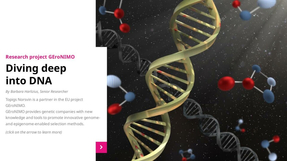 Epi genetics -Diving deep into DNA - Topigs Norsvin Online magazine Progress winter 2022 ...