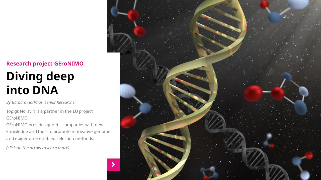 Epi genetics -Diving deep into DNA - Topigs Norsvin Online magazine ...
