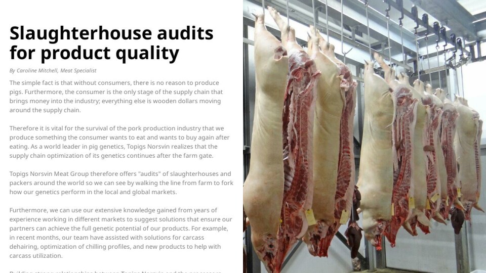 Slaughterhouse audits for product quality - Online magazine Progress ...