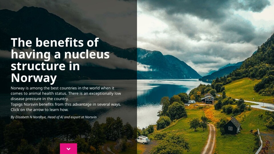The benefits of nucleus structure in Norway - Online magazine Progress ...