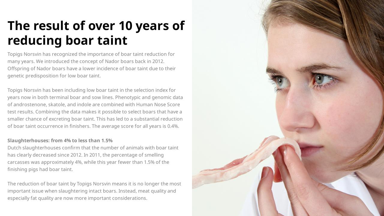 Boar taint eliminated - Topigs Norsvin Online magazine Progress winter ...
