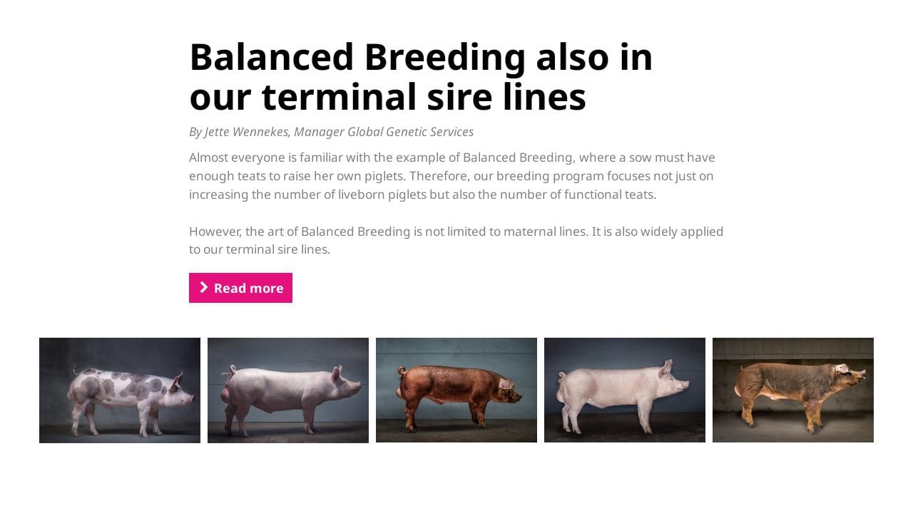 Balanced Breeding and Topigs Norsvin sire lines - Topigs Norsvin Online ...