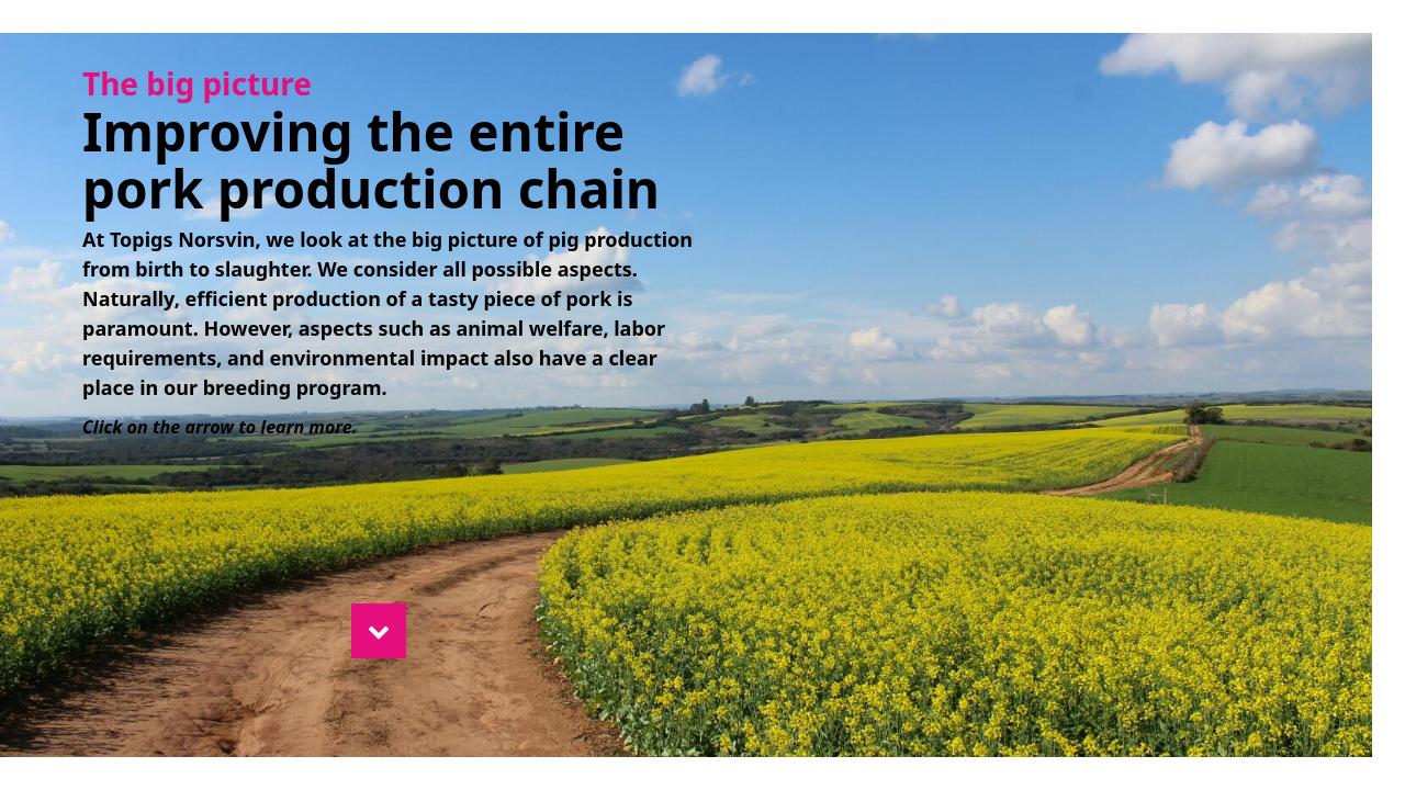 Improving the whole pork production chain - Topigs Norsvin Online ...