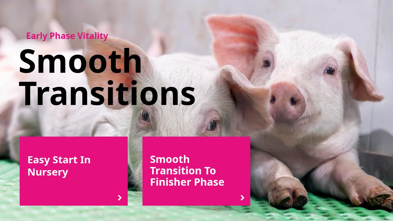 Early Phase Vitality - Smooth transitions - Topigs Norsvin Online ...