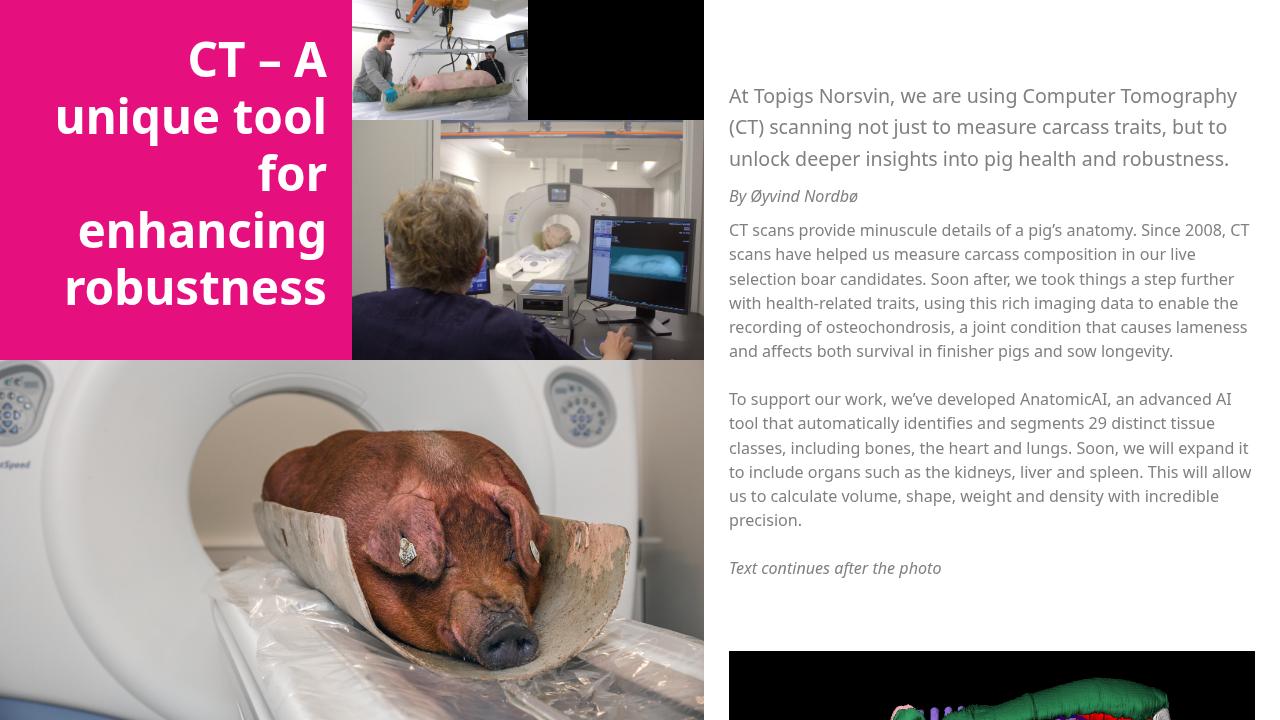 CT – A unique tool for enhancing pig robustness - Topigs Norsvin Online ...