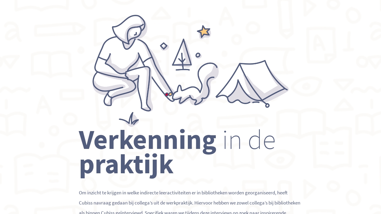 Verkenning in de praktijk - Leren door te camoufleren