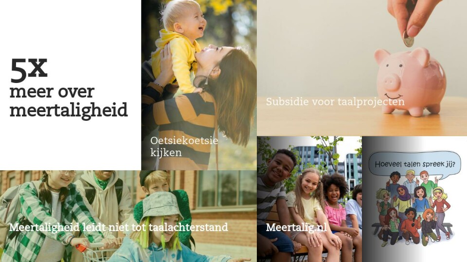 5x meer over meertaligheid - Lees, Lezer, Leest - Meertaligheid