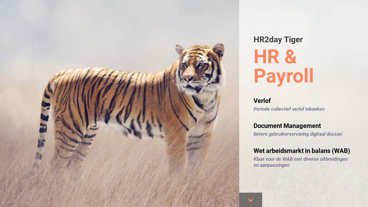 HR & Payroll - Release Tiger