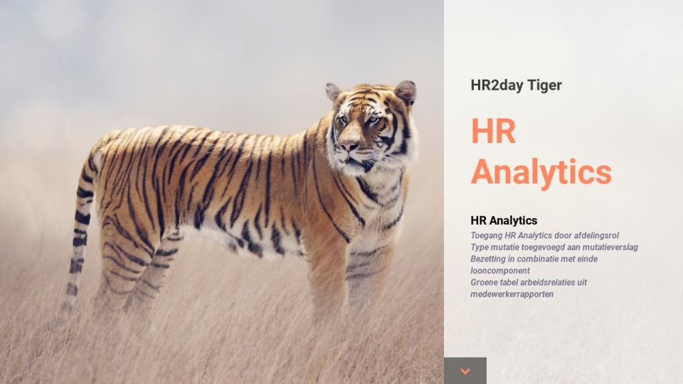 HR Analytics - Release Tiger