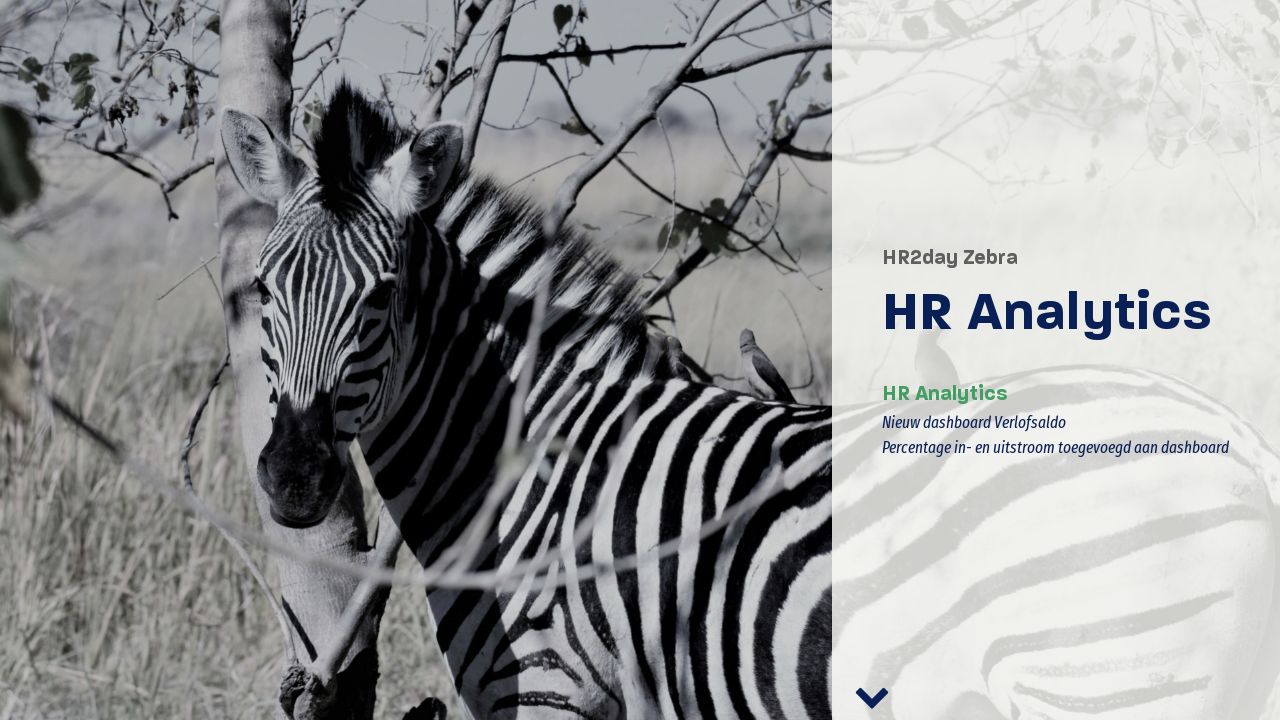HR Analytics - Release Zebra