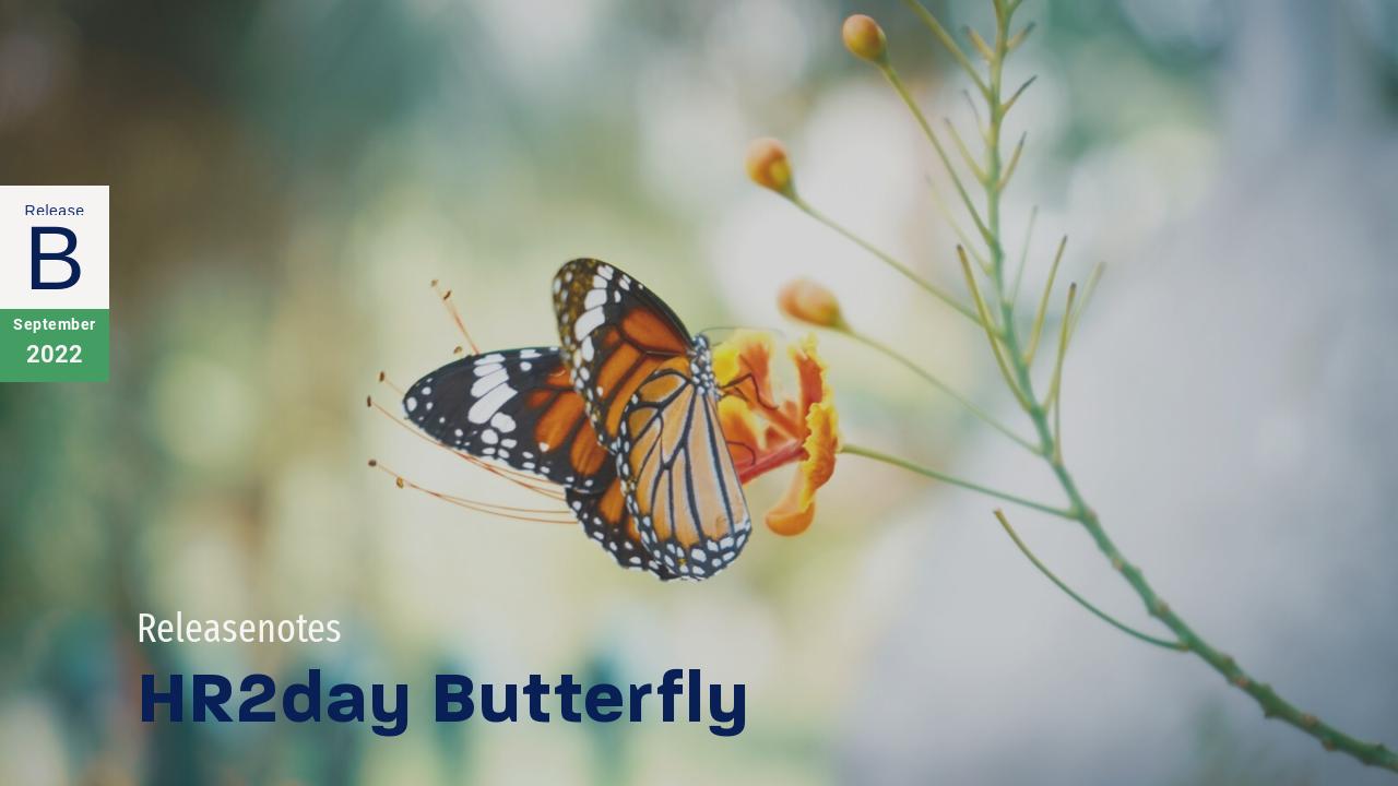 Release Butterfly - Release Butterfly