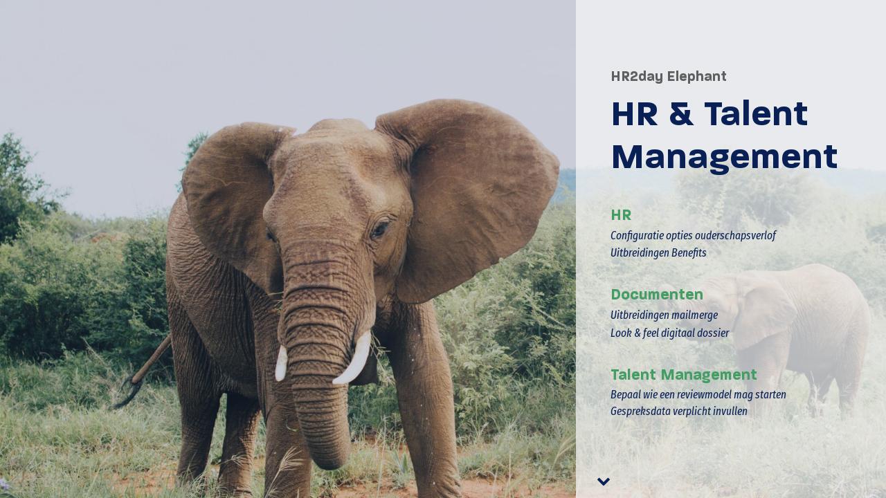 HR & Talent Management - Release Elephant
