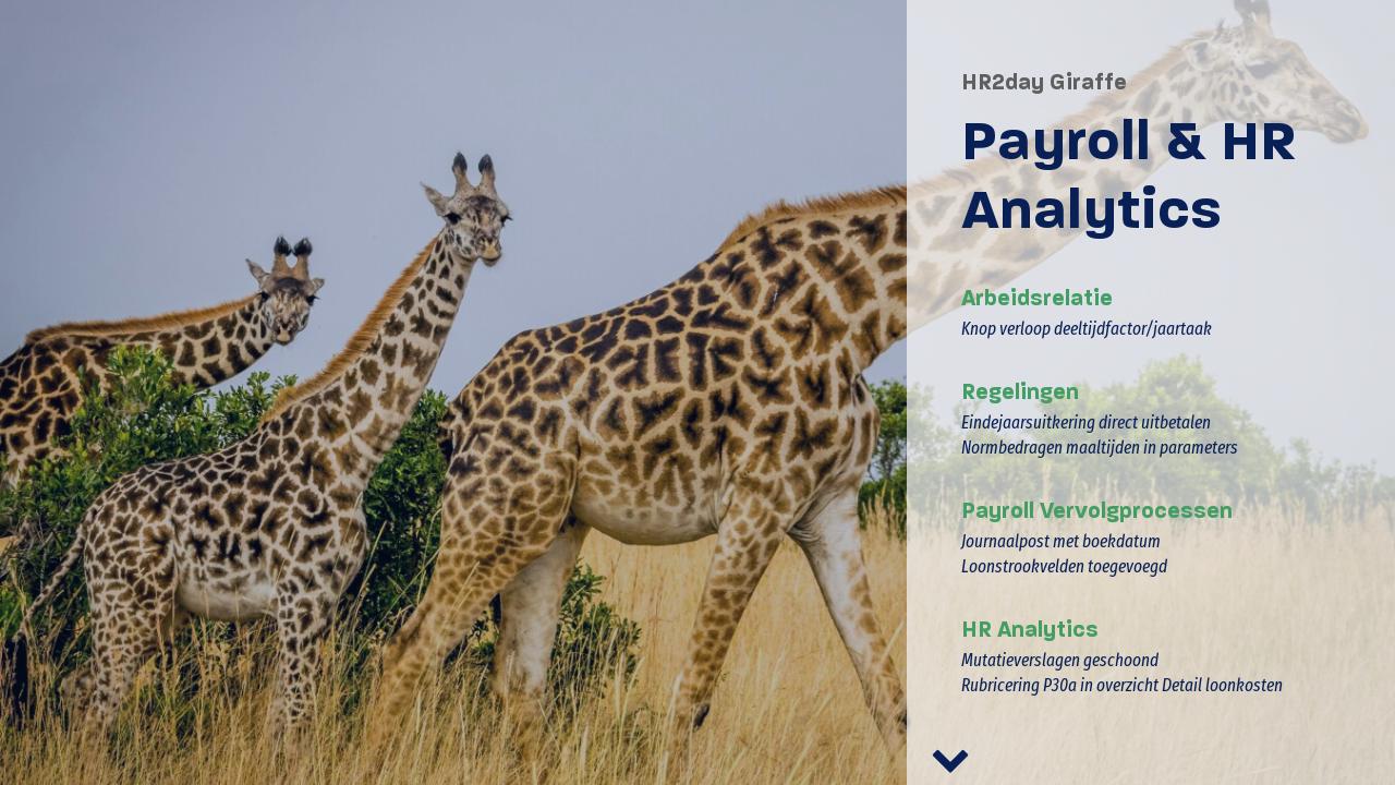 Payroll & HR Analytics - Release Giraffe