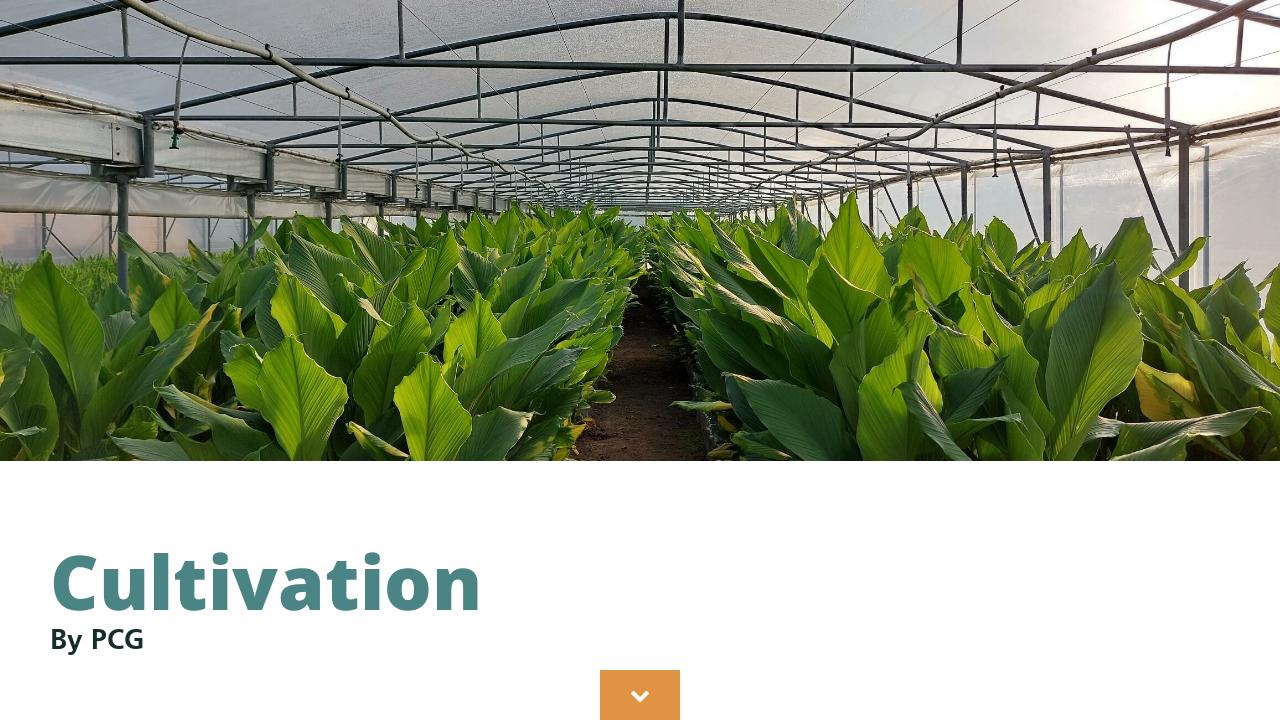 1 Cultivation - CURCOL