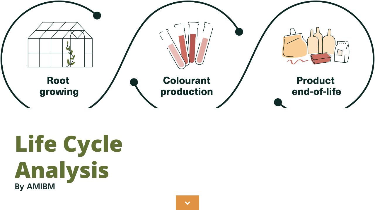 6 Life Cycle Analysis - CURCOL