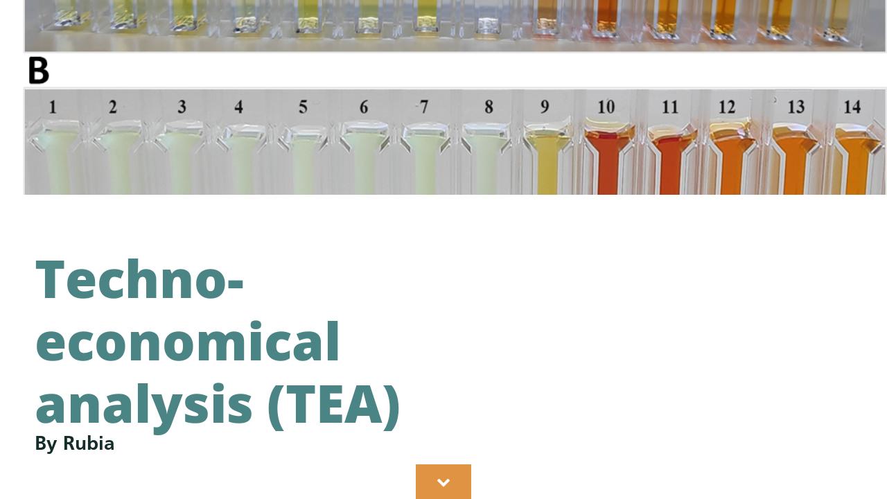 7 Technical Economic Analysis - CURCOL