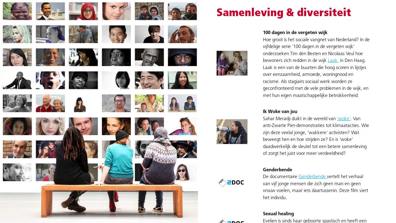 Samenleving & diversiteit - Open Ruimte 2025-2026