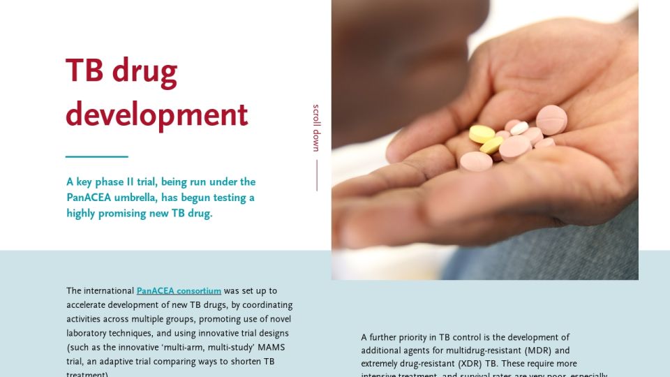 TB drug development - Annual Report 2019