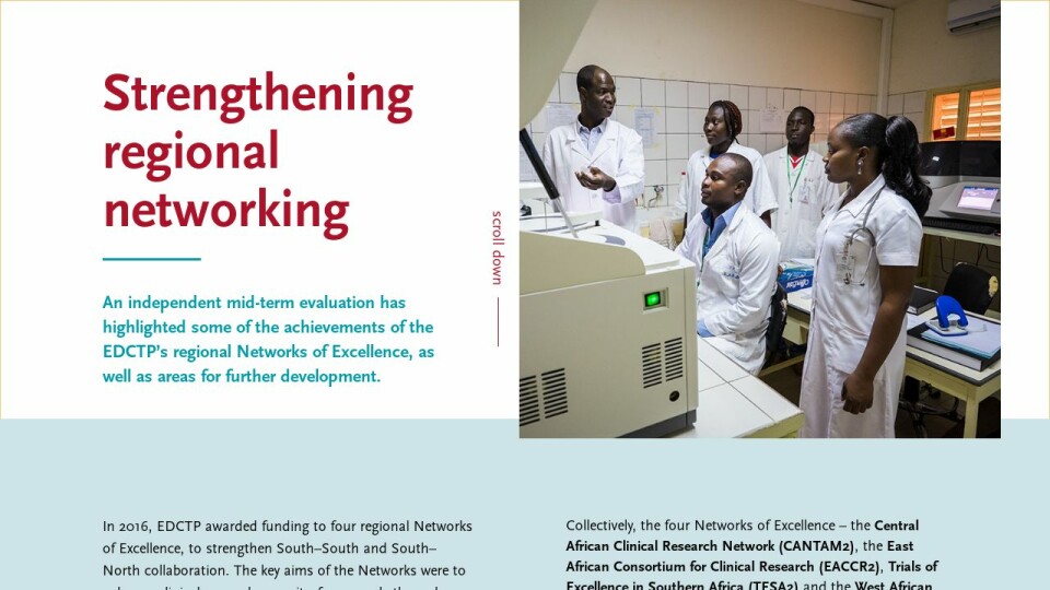 Strengthening regional networking - Annual Report 2019