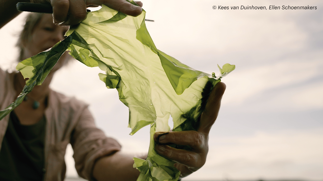 Zeewierexpert Ellen Schoenmakers vertelt