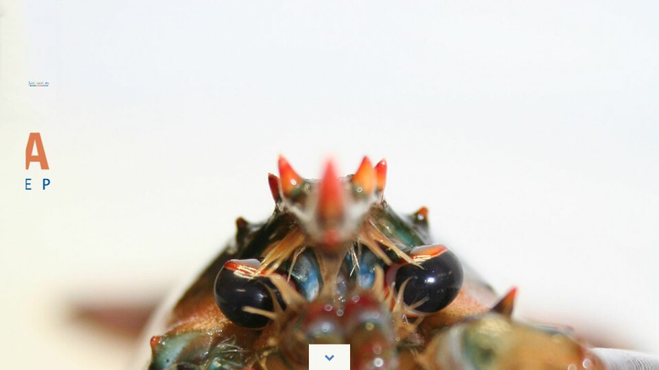 Inspirational - Jan van As