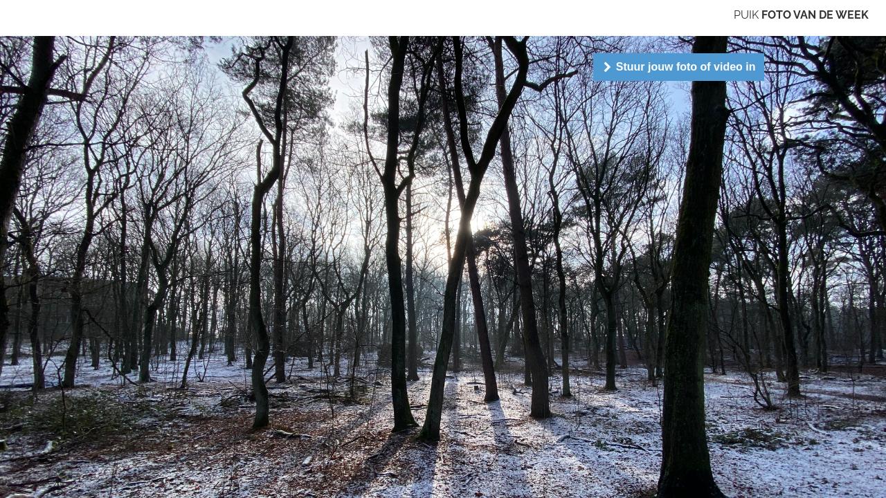 FOTO VAN DE WEEK 2 - Puik 2304