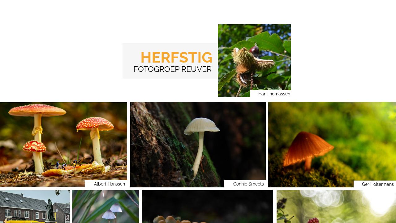 HERFSTIG FOTOGROEP REUVER - Puik 2343