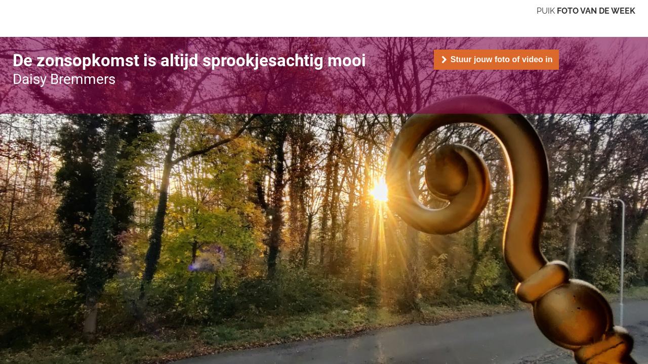 FOTO VAN DE WEEK - Puik 2449