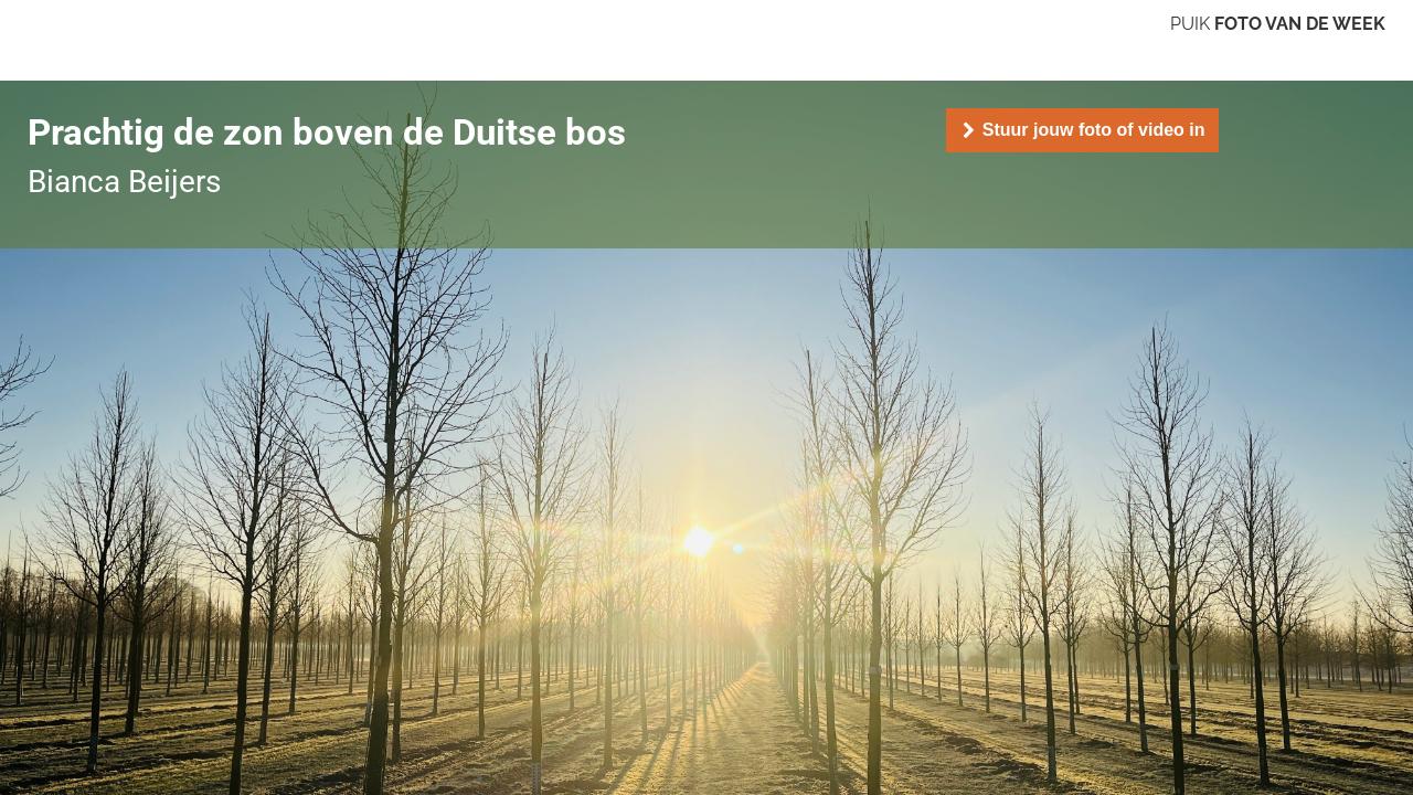 FOTO VAN DE WEEK 2 - Puik 2504