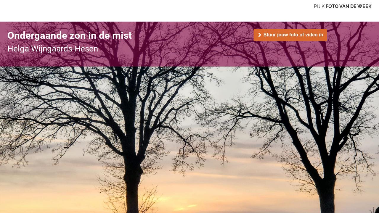 FOTO VAN DE WEEK - Puik 2505