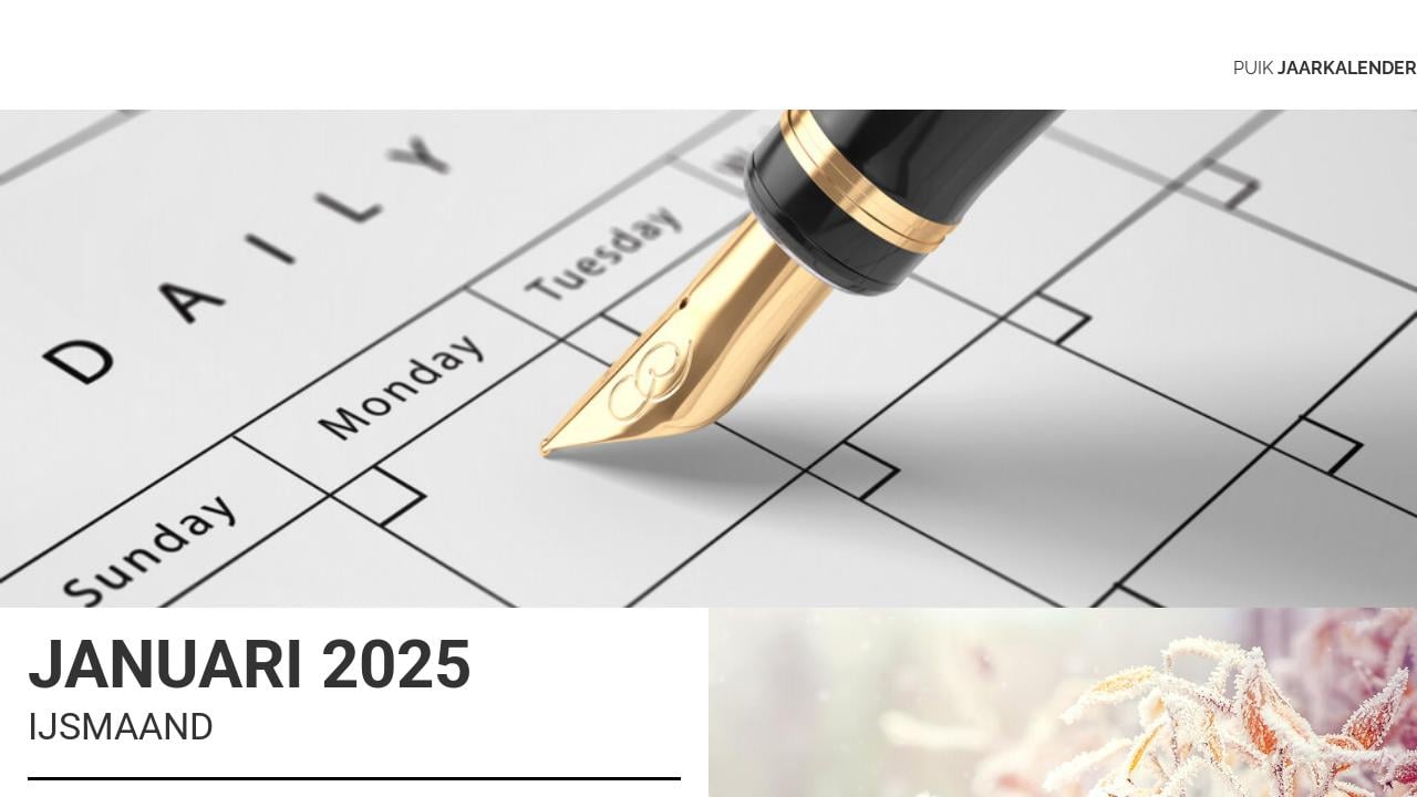 JAARKALENDER - Puik 2505