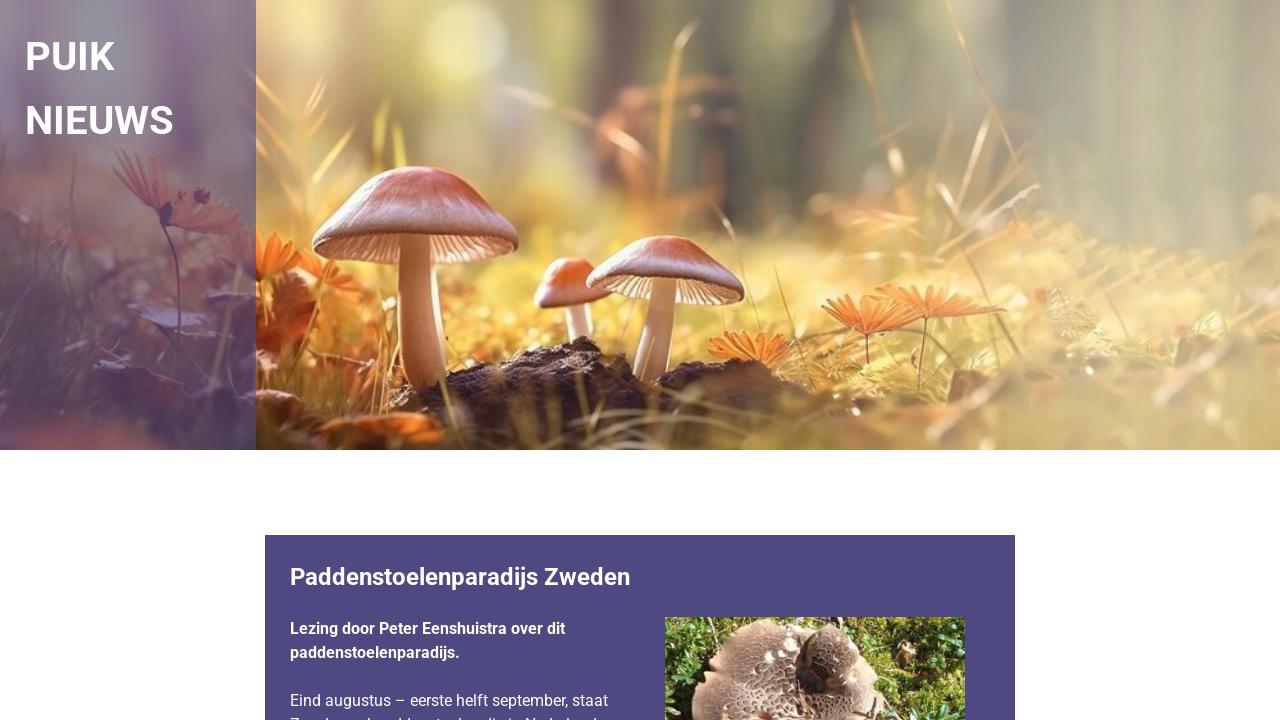 PUIK NIEUWS 3 - Puik 2506