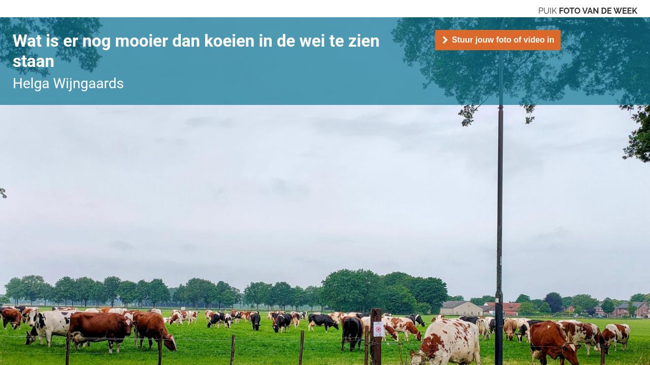 FOTO VAN DE WEEK 2 - Puik 2523