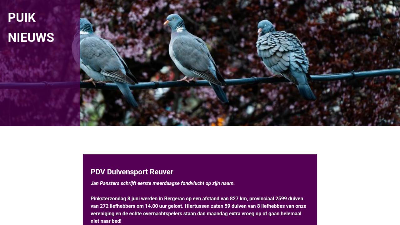 PUIK NIEUWS 2 - Puik 2525