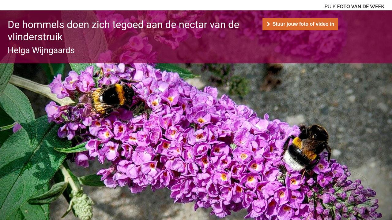 FOTO VAN DE WEEK 2 - Puik 2530