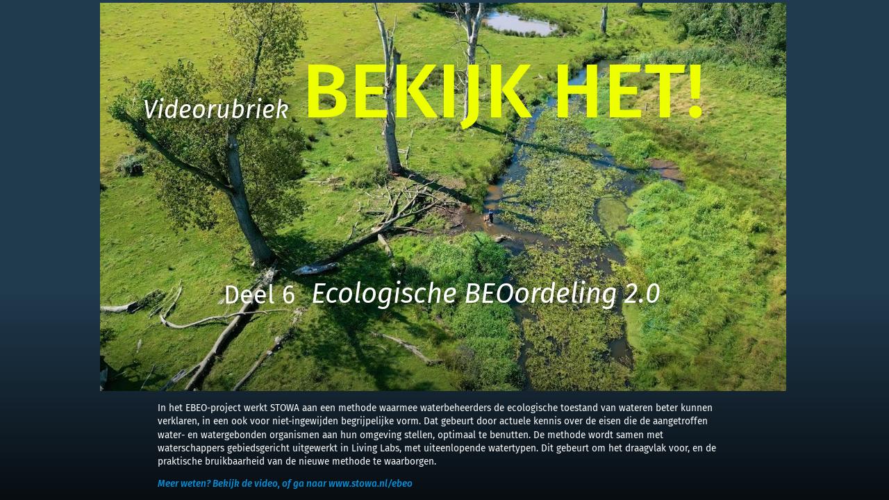 Videorubriek Bekijk het! - Deel 6 ‘Ecologische Beoordeling 20’ - STOWA ...