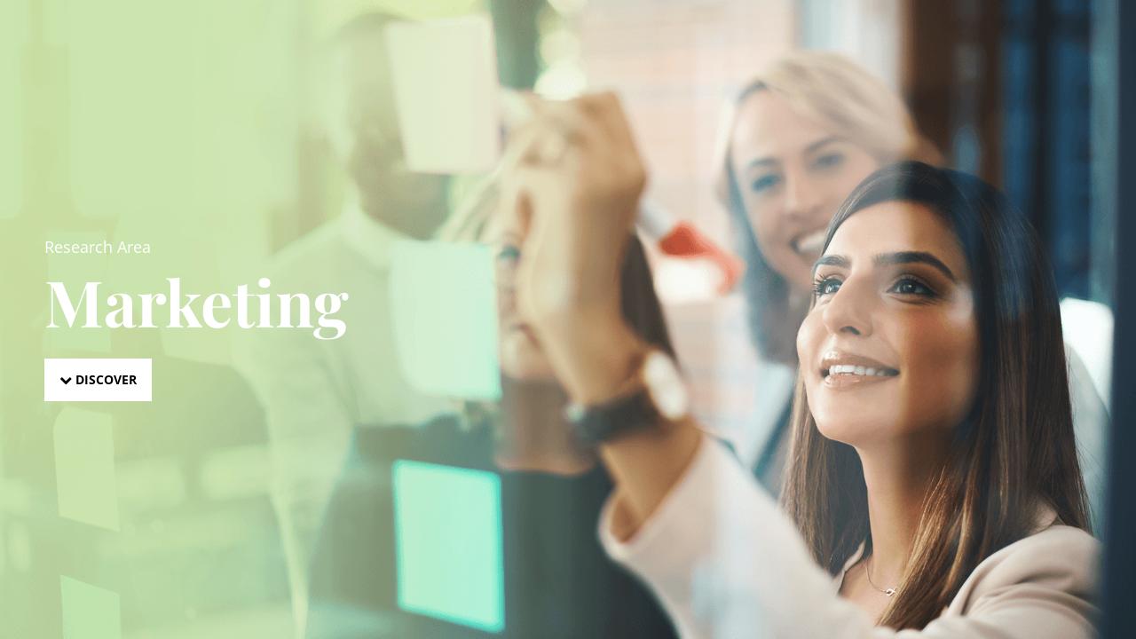 Research Area: Marketing - Nova SBE PhD's Programs