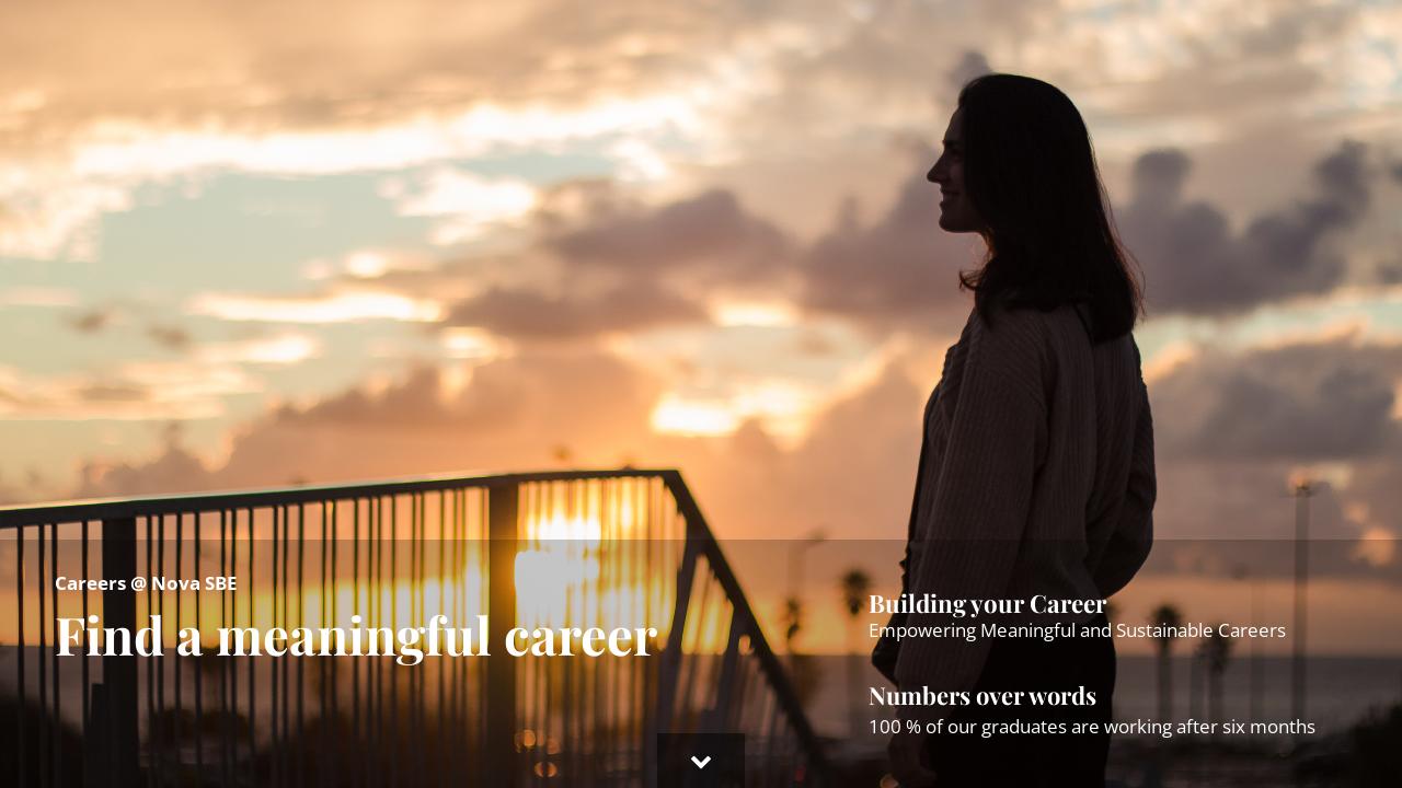 Careers & Placement - Nova SBE Bachelor's Programs 2025-26