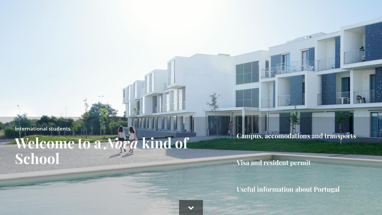 International Students - Nova SBE Bachelor's Programs 2025-26