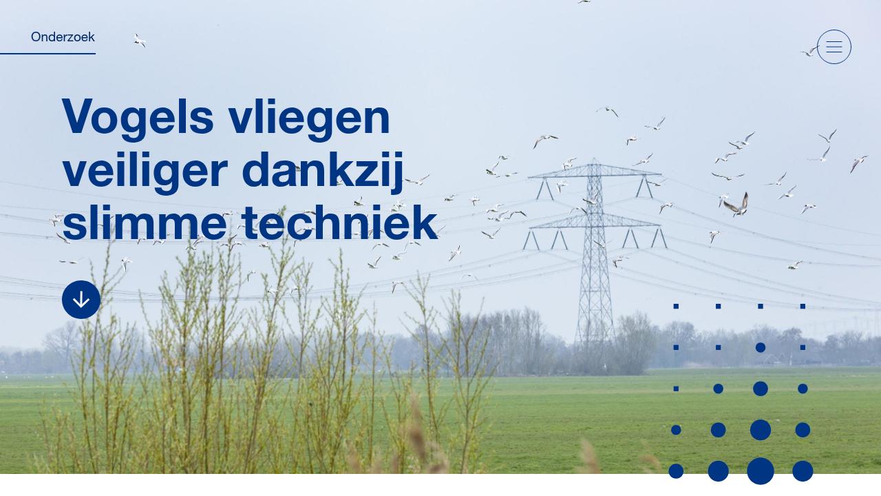 Vogels vliegen veiliger dankzij slimme techniek - Nieuwsbrief Modulair ...
