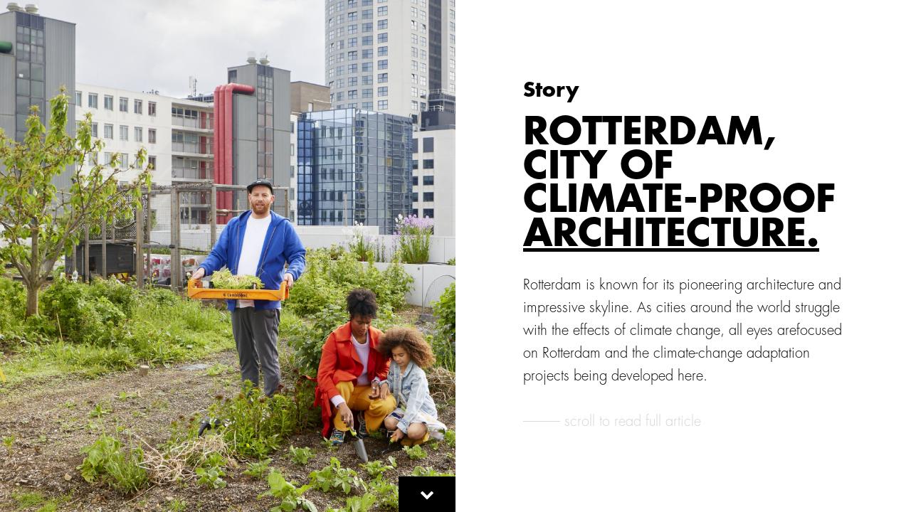 BUILDING ROTTERDAM'S URBAN JUNGLE - Discover Resilience Rotterdam