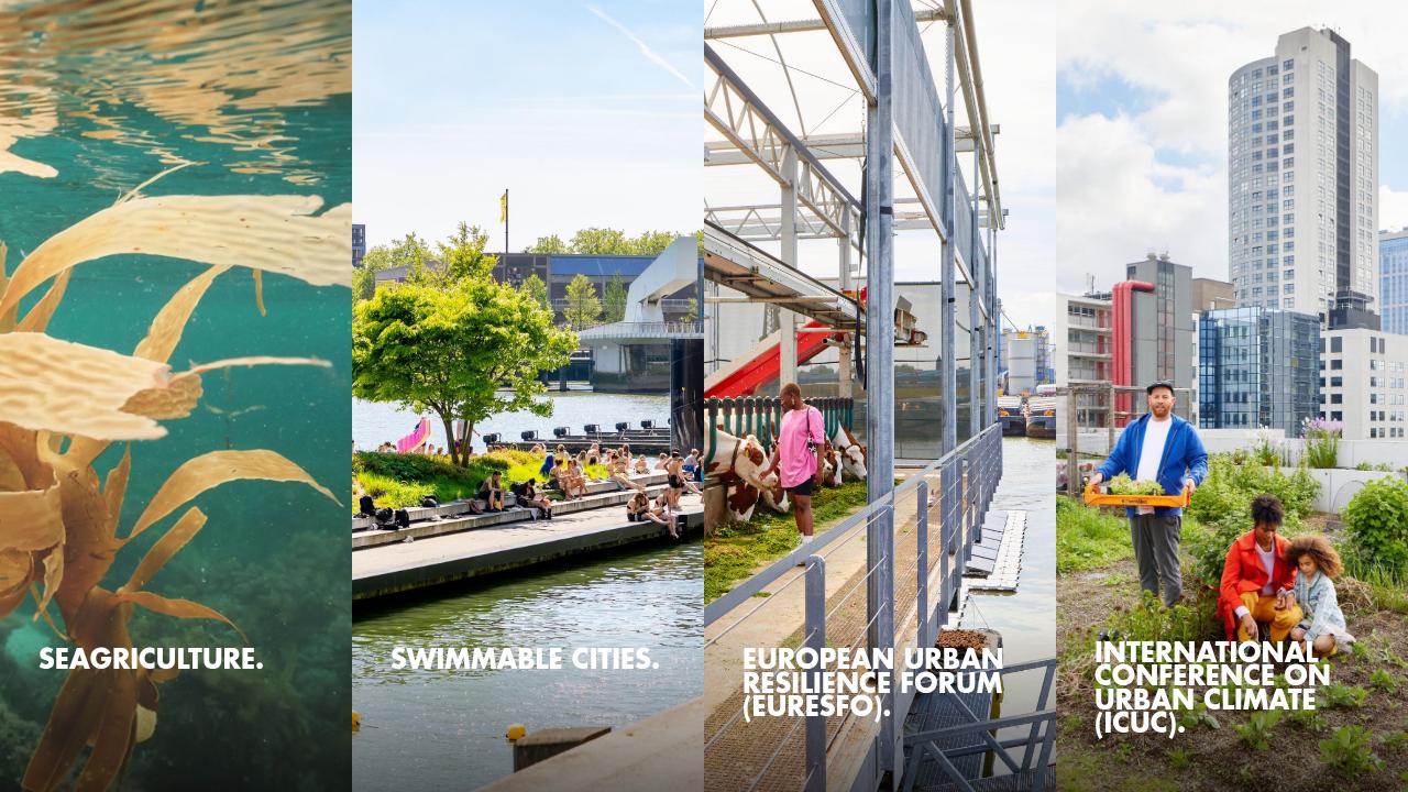 EVENTS TAKING PLACE - Discover Resilient Rotterdam
