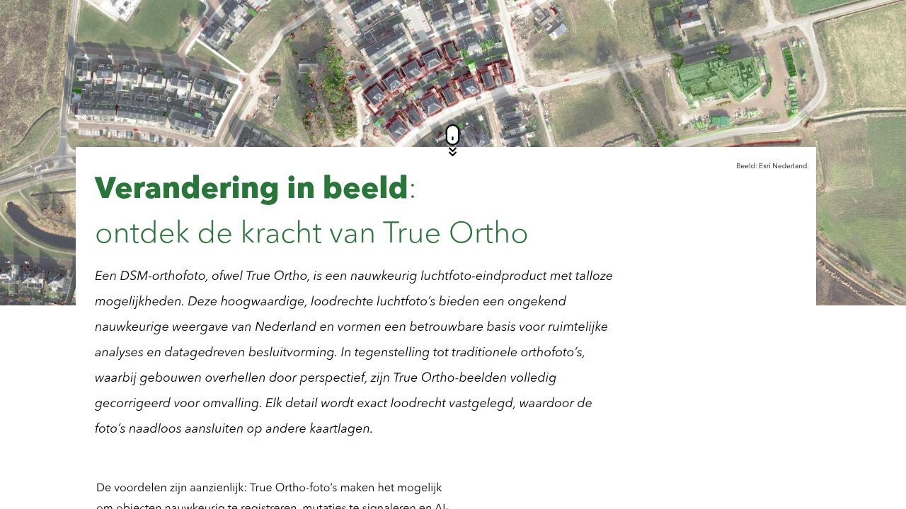Verandering in beeld: ontdek de kracht van True Ortho
